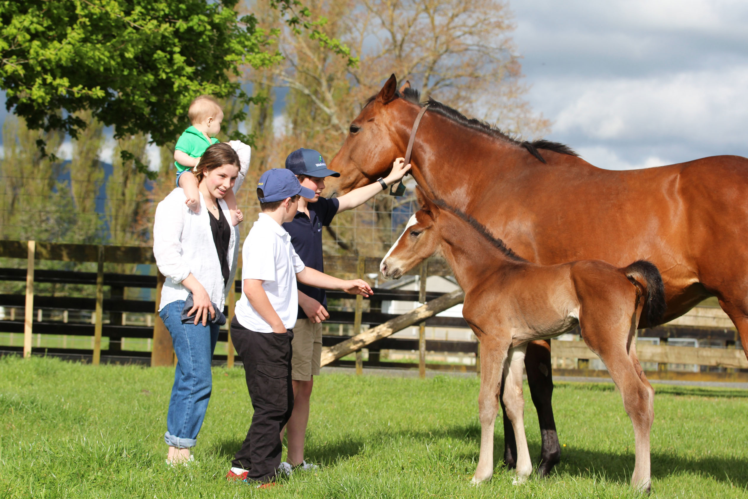 Chittick children breed their first Thoroughbred | Waikato Stud