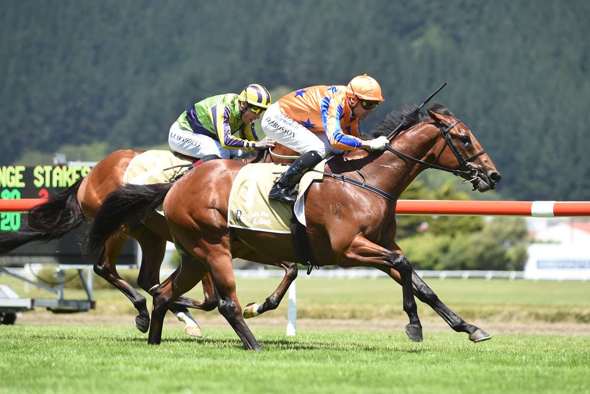 Te Akau Racing celebrate further success with the progeny of Savabeel ...