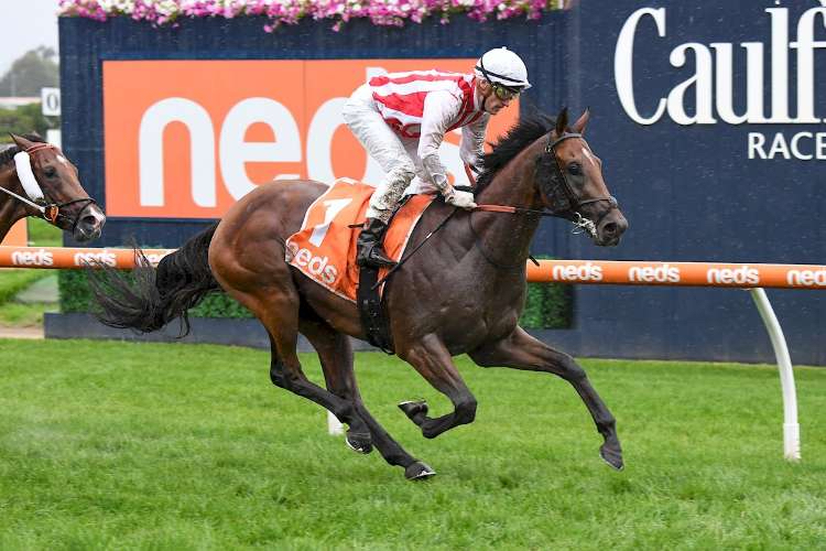 Around the farm with Mark Chittick – Waikato Stud