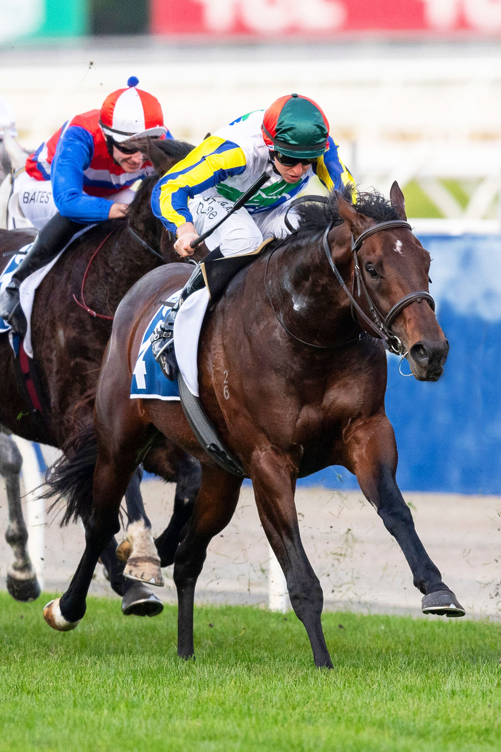 Banquo to join Waikato Stud roster | Waikato Stud