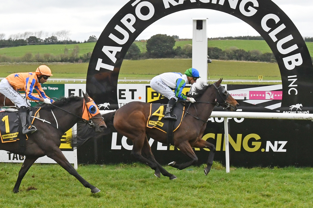 Dashing double for Matamata farm | Waikato Stud
